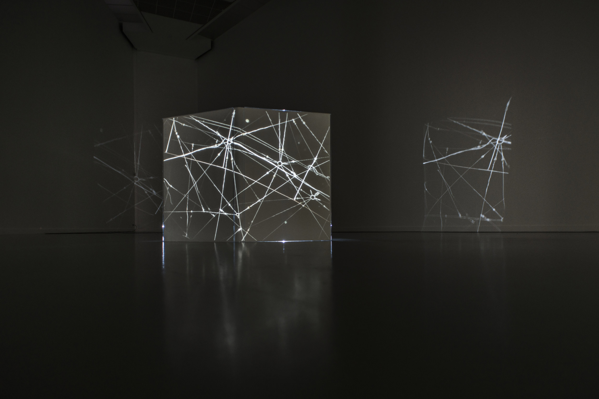 Fernão Cruz - Centro de Arte Moderna