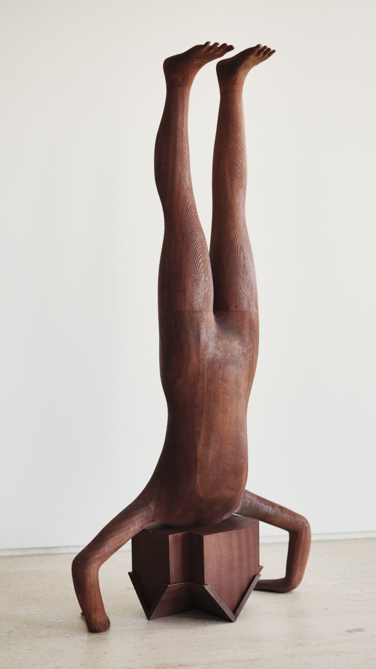 Carlos Bunga. Habitar a Contradição - Centro de Arte Moderna