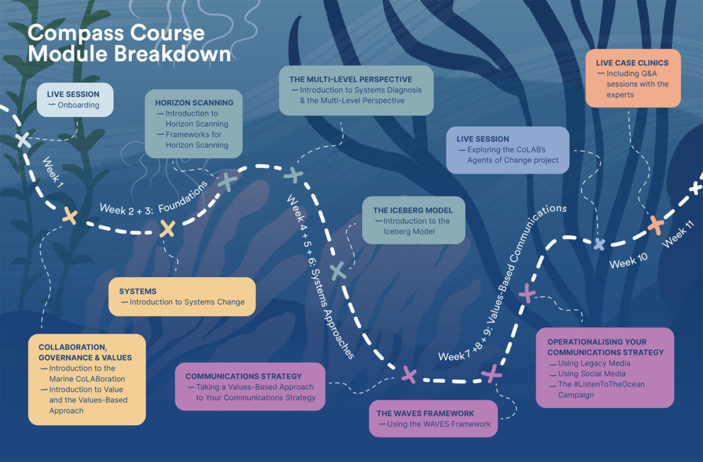 Compass Course – learn values and systems-based approaches for ocean ...