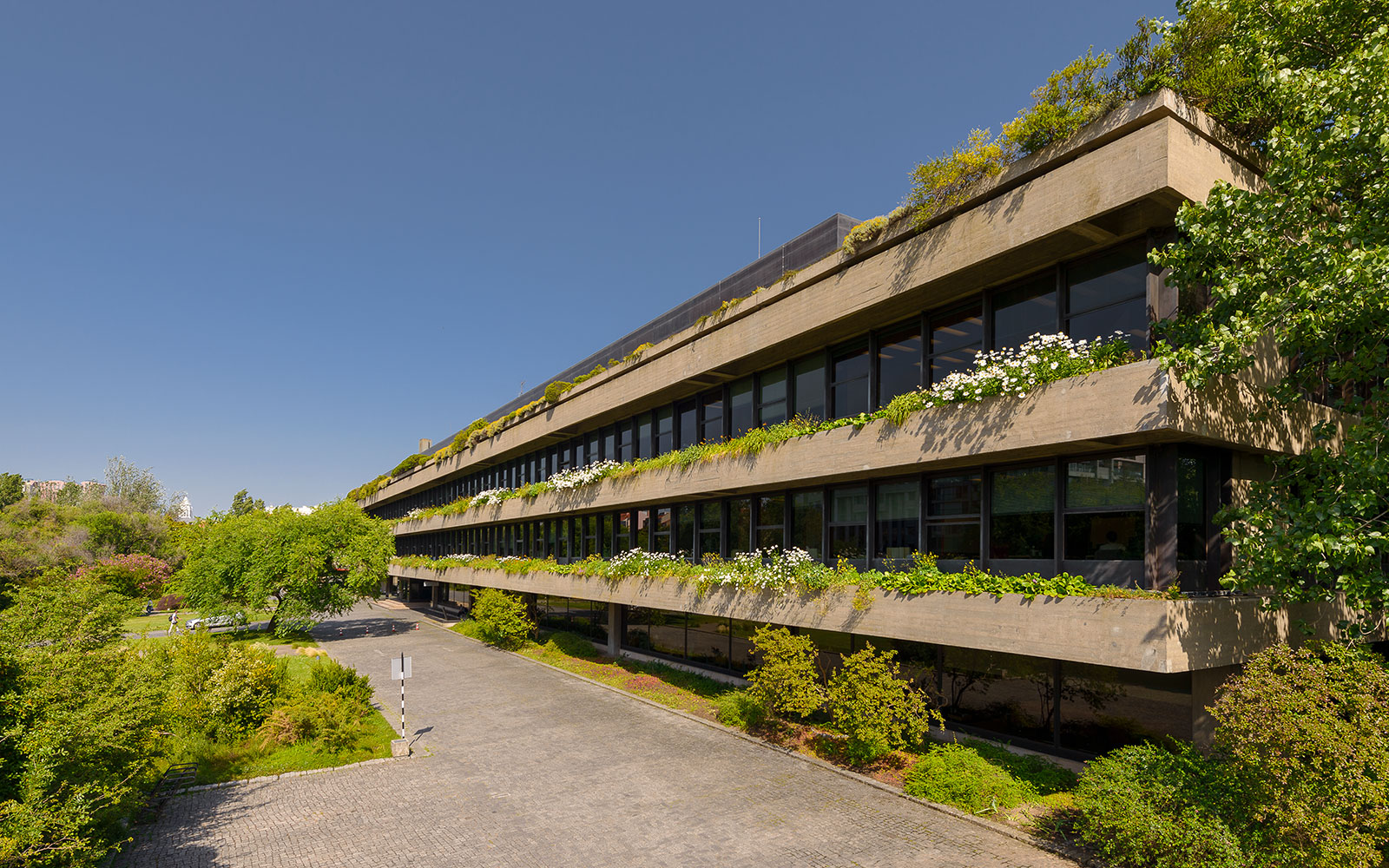 Gestão de Loja – Fundação Calouste Gulbenkian