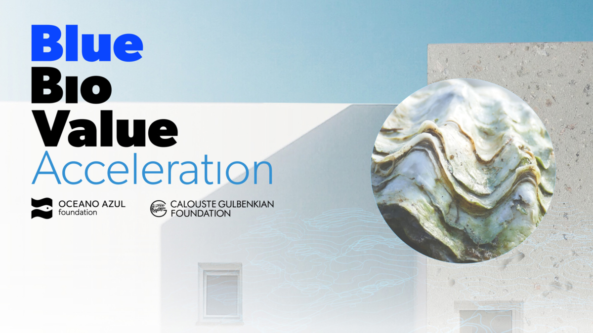 Blue Bio Value Acceleration: submissions open – Fundação Calouste ...