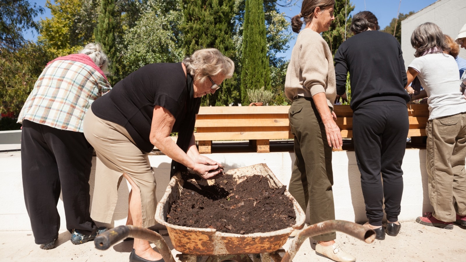 Dia da Terra: Aprende a fazer vermicompostagem