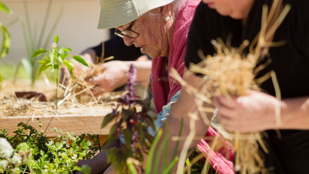 Dia da Terra: Aprende a fazer vermicompostagem