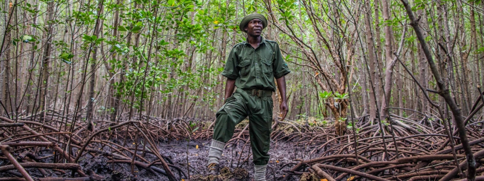 Impact – Gulbenkian Prize for Humanity