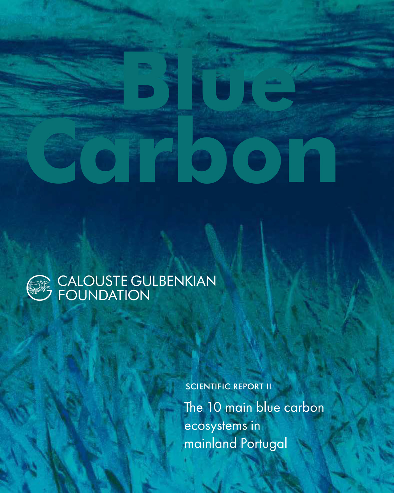 Scientific Report II: The 10 main blue carbon ecosystems in mainland ...