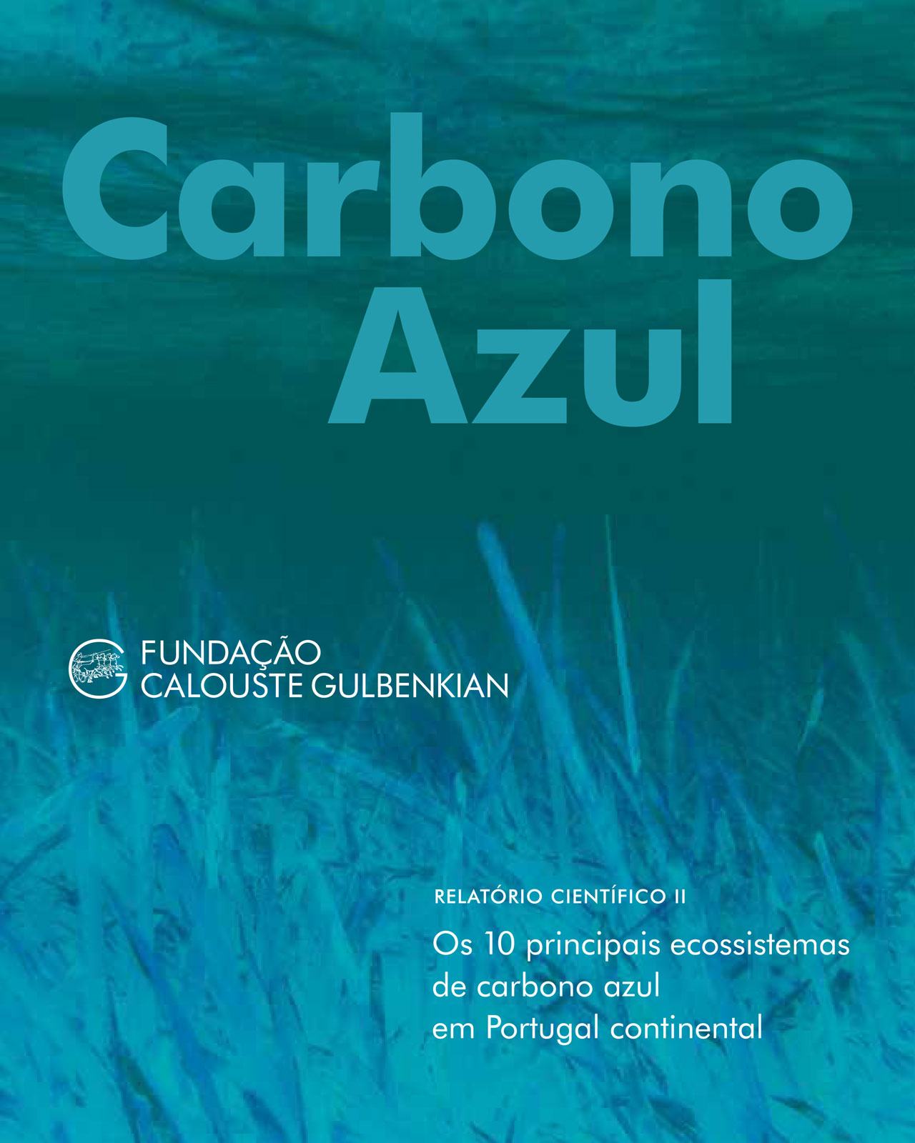 Relatório Científico II: Os 10 principais ecossistemas de carbono azul ...