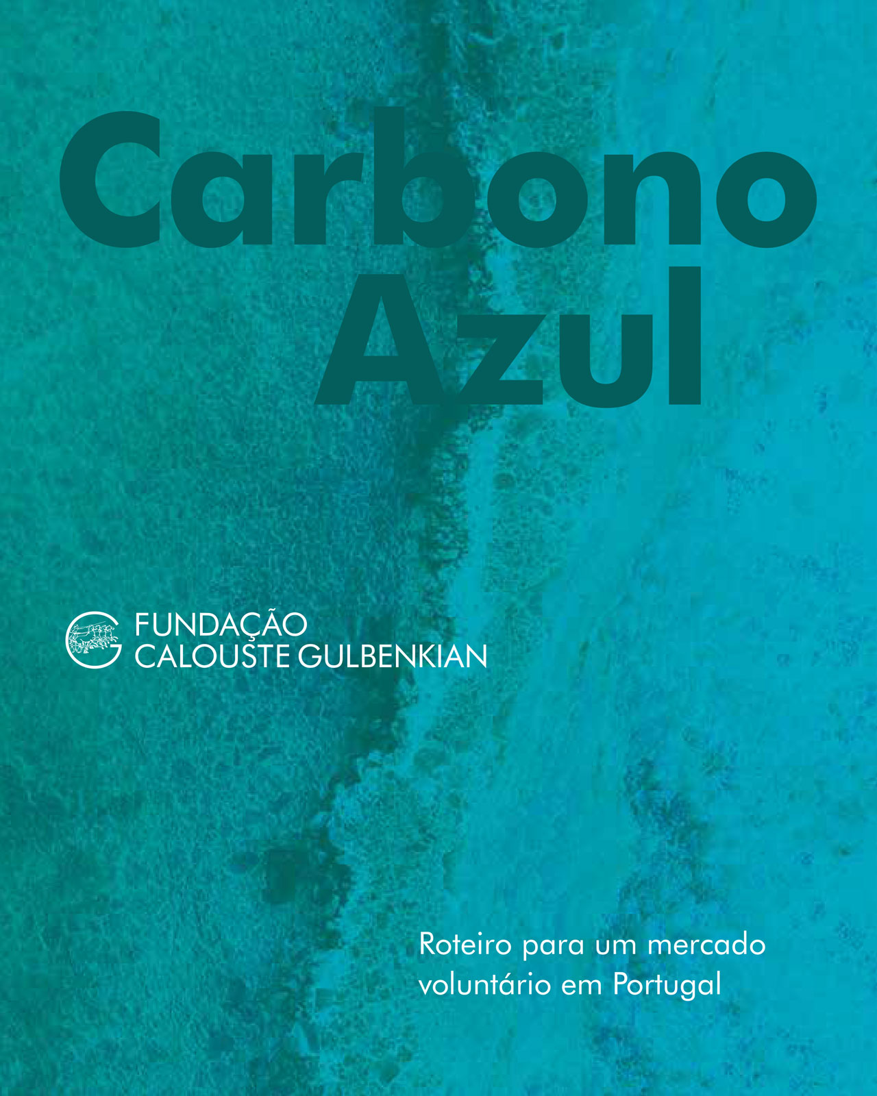 Carbono Azul: Roteiro para um mercado voluntário em Portugal – Fundação ...