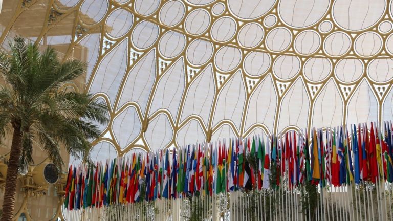 Gulbenkian Foundation takes part in COP28 – Fundação Calouste Gulbenkian