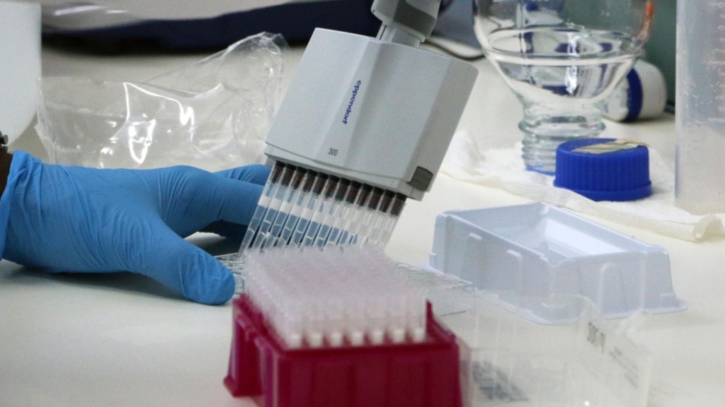 Five health research projects in the PALOP countries – Fundação ...