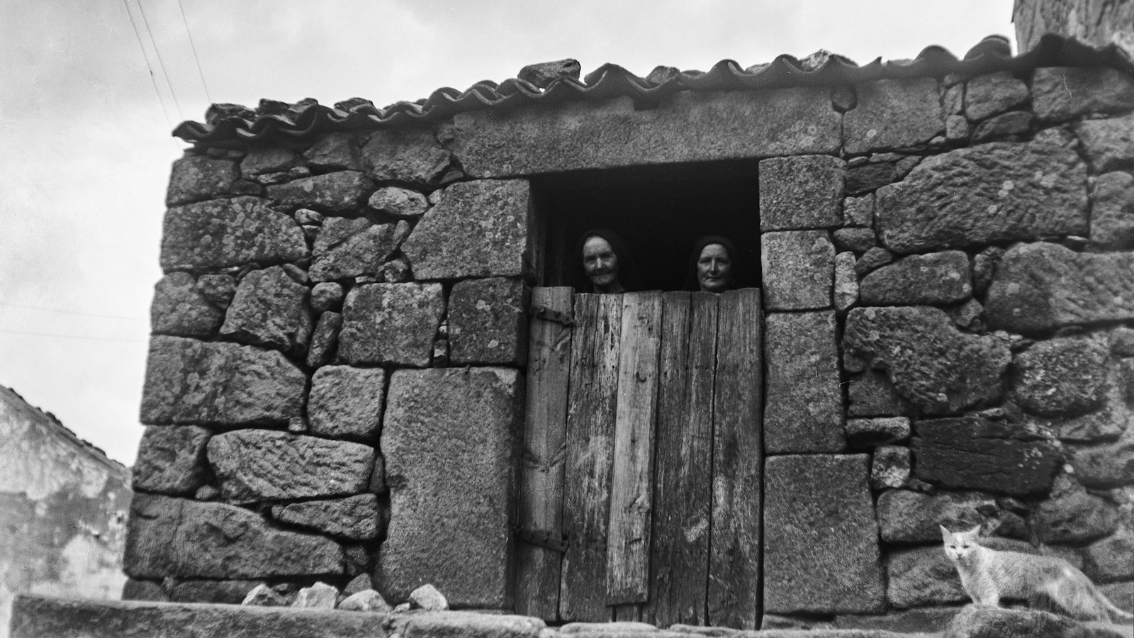 Maria Lamas e o livro “As Mulheres do meu País” – Fundação Calouste ...