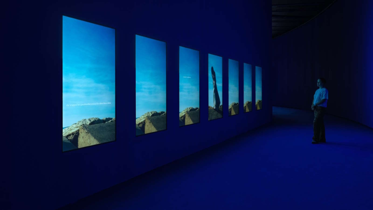 Julianknxx: memória de um voo – Fundação Calouste Gulbenkian