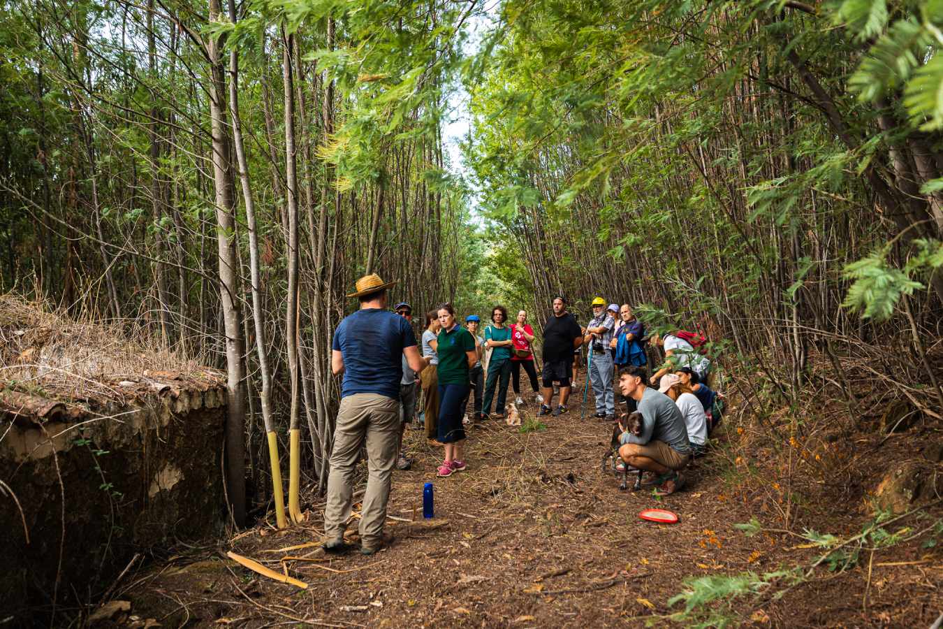 à escuta: folha volante – Fundação Calouste Gulbenkian