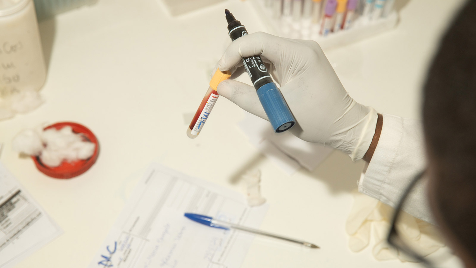 Support to four new institutional capacity-building projects in health ...