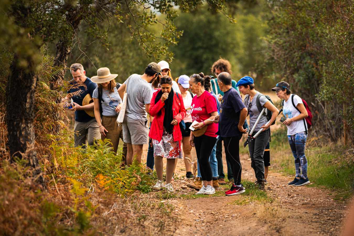 à escuta: folha volante – Fundação Calouste Gulbenkian