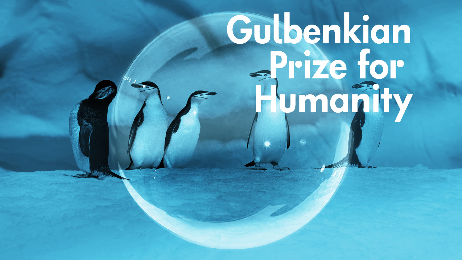 Gulbenkian Prize for Humanity 2025 Award Ceremony – Fundação Calouste ...