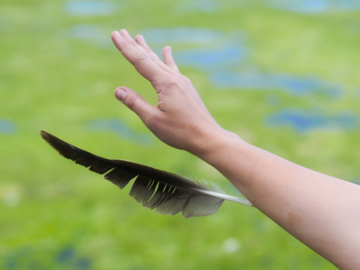The Performing Garden, by Rosana Antolí – Fundação Calouste Gulbenkian